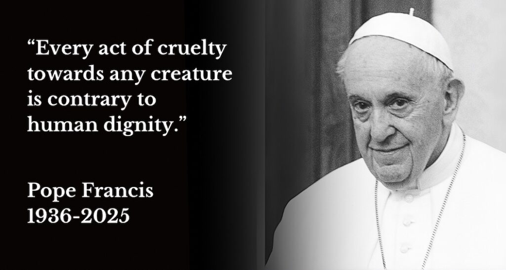 Pope Francis’ Embrace Of Protecting God’s Creation