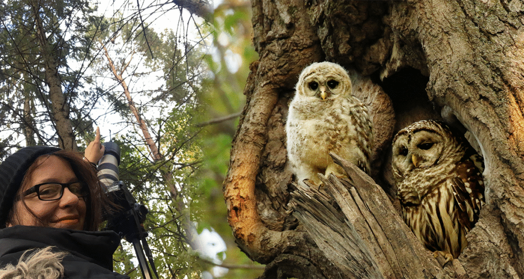 Get To Know “Thee Owl Queen”